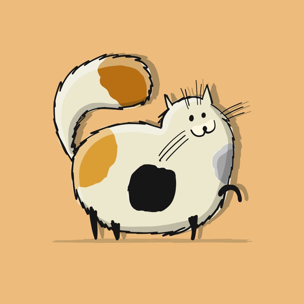 Kattenpoten verzorgen: zo doe je dat | Cat’s Best