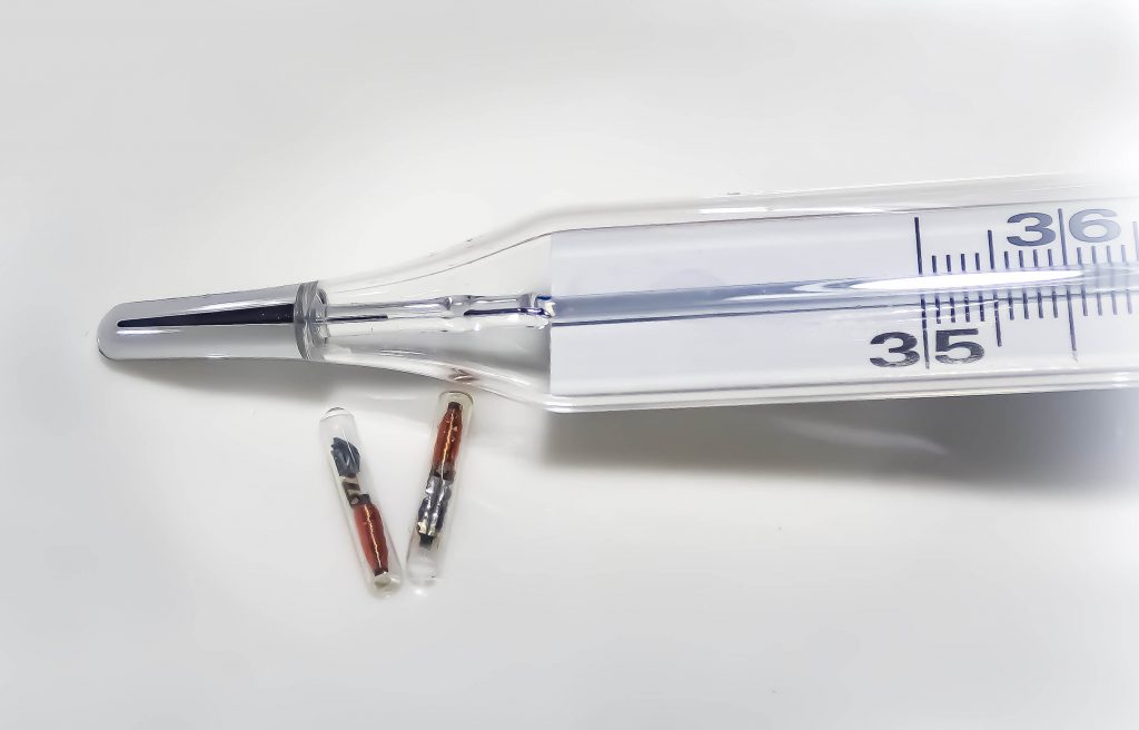 Alles wat je moet weten over je kat chippen | Cat’s Best