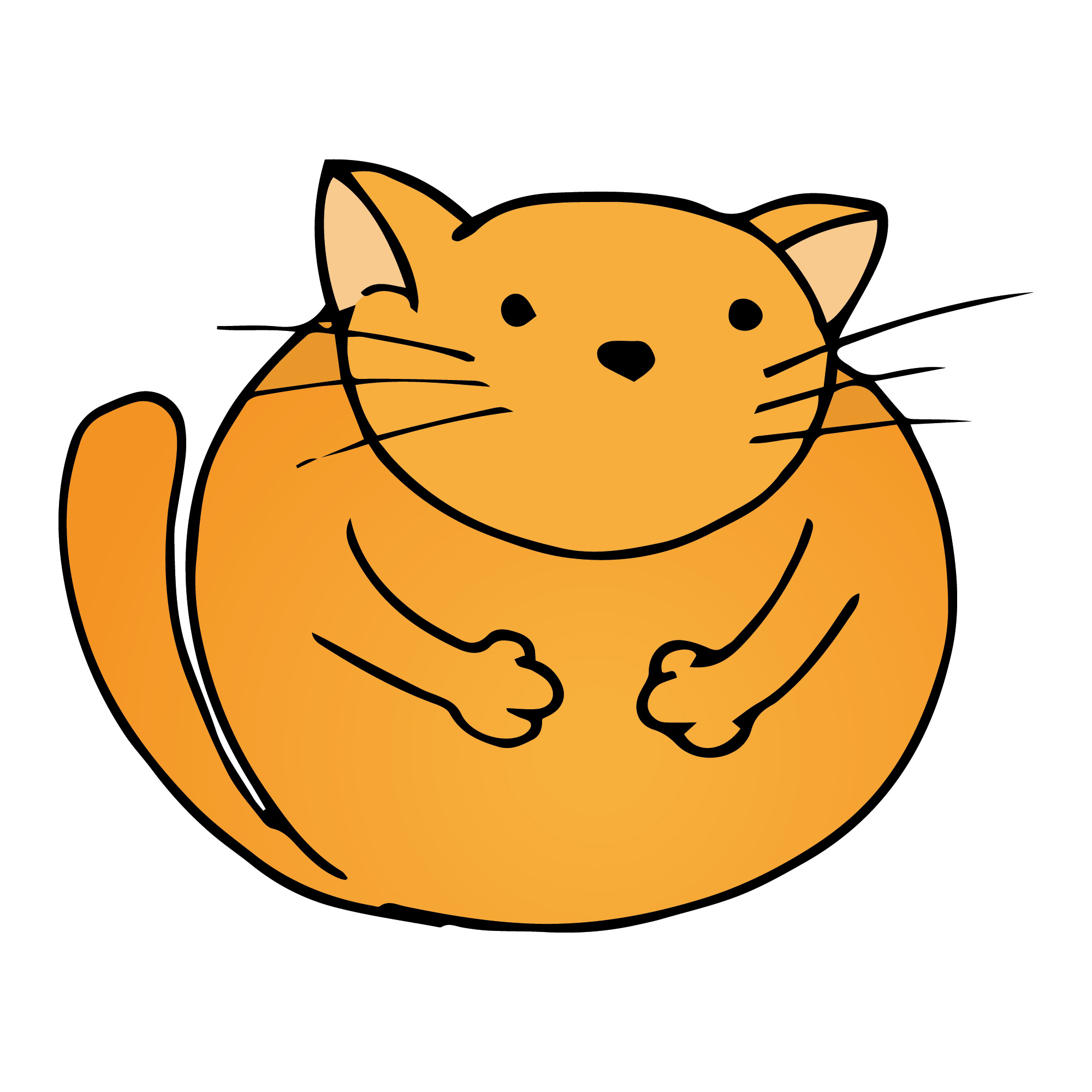 Dikke katten: voeding en afvallen | Cat’s Best