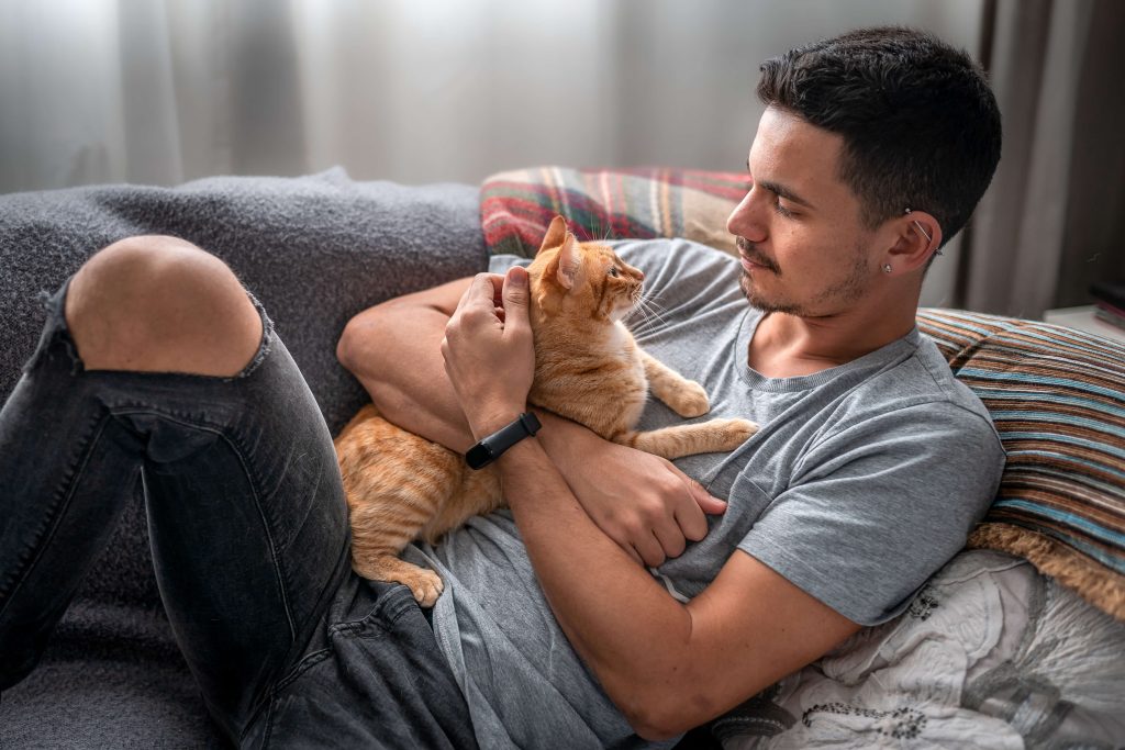 De snorharen van de kat | Cat’s Best