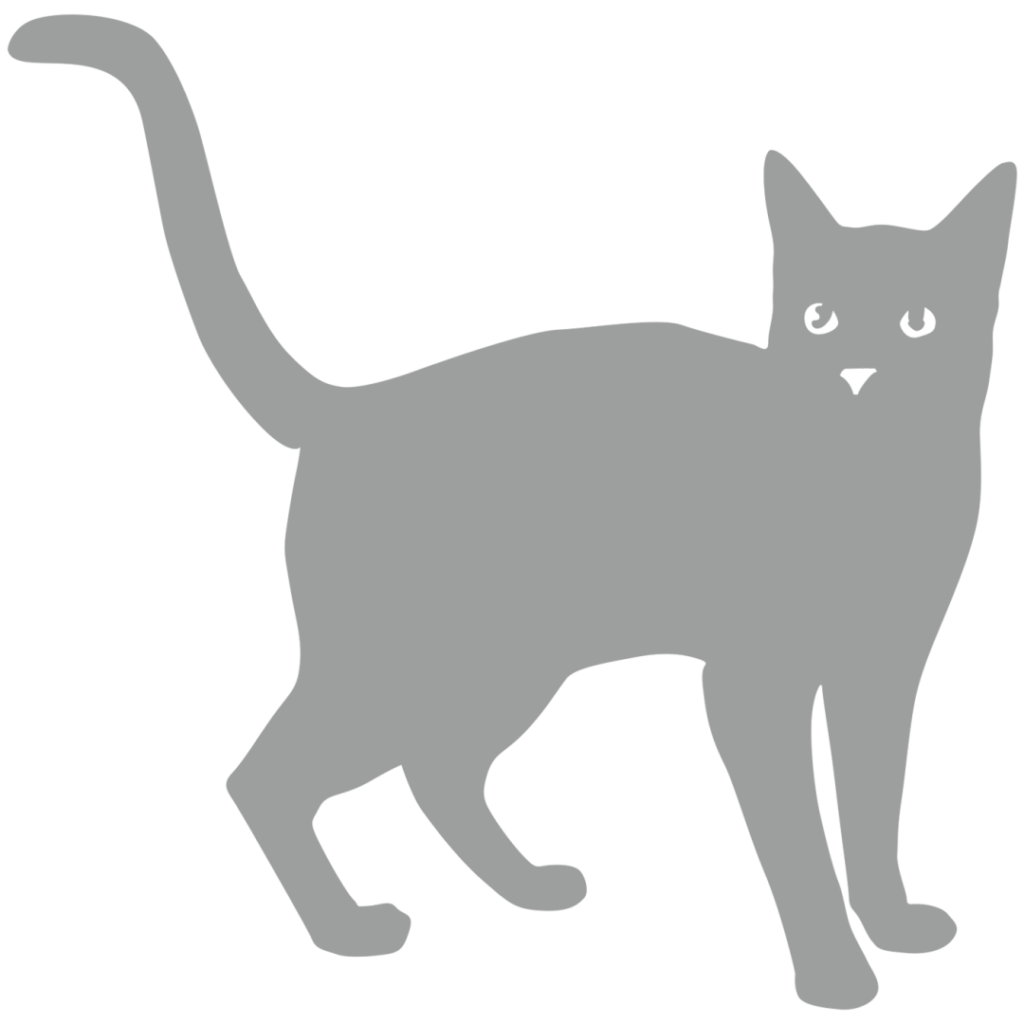 Kattentaal begrijpen - hoe je het gedrag van je kat interpreteert | Cat ...