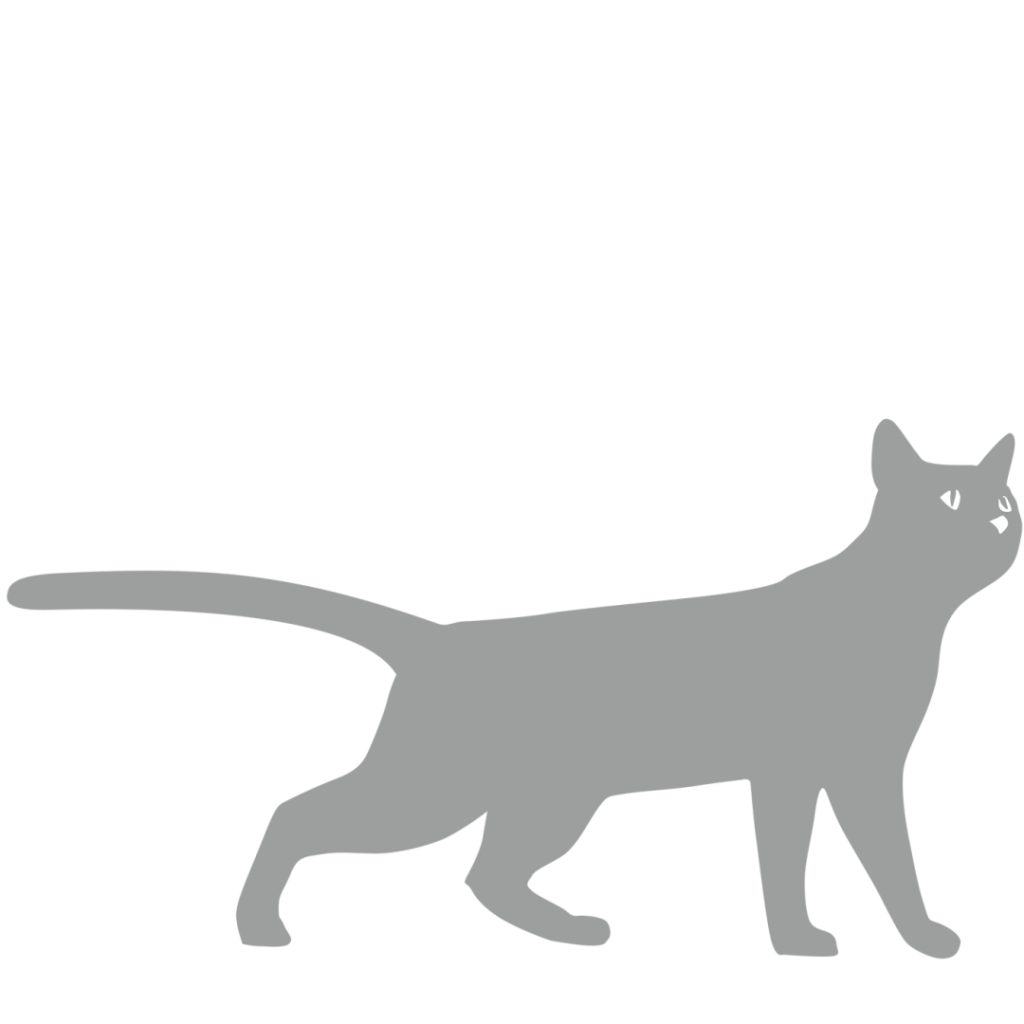 Kattentaal begrijpen - hoe je het gedrag van je kat interpreteert | Cat ...