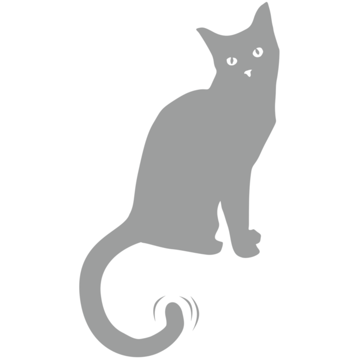 Kattentaal begrijpen - hoe je het gedrag van je kat interpreteert | Cat ...