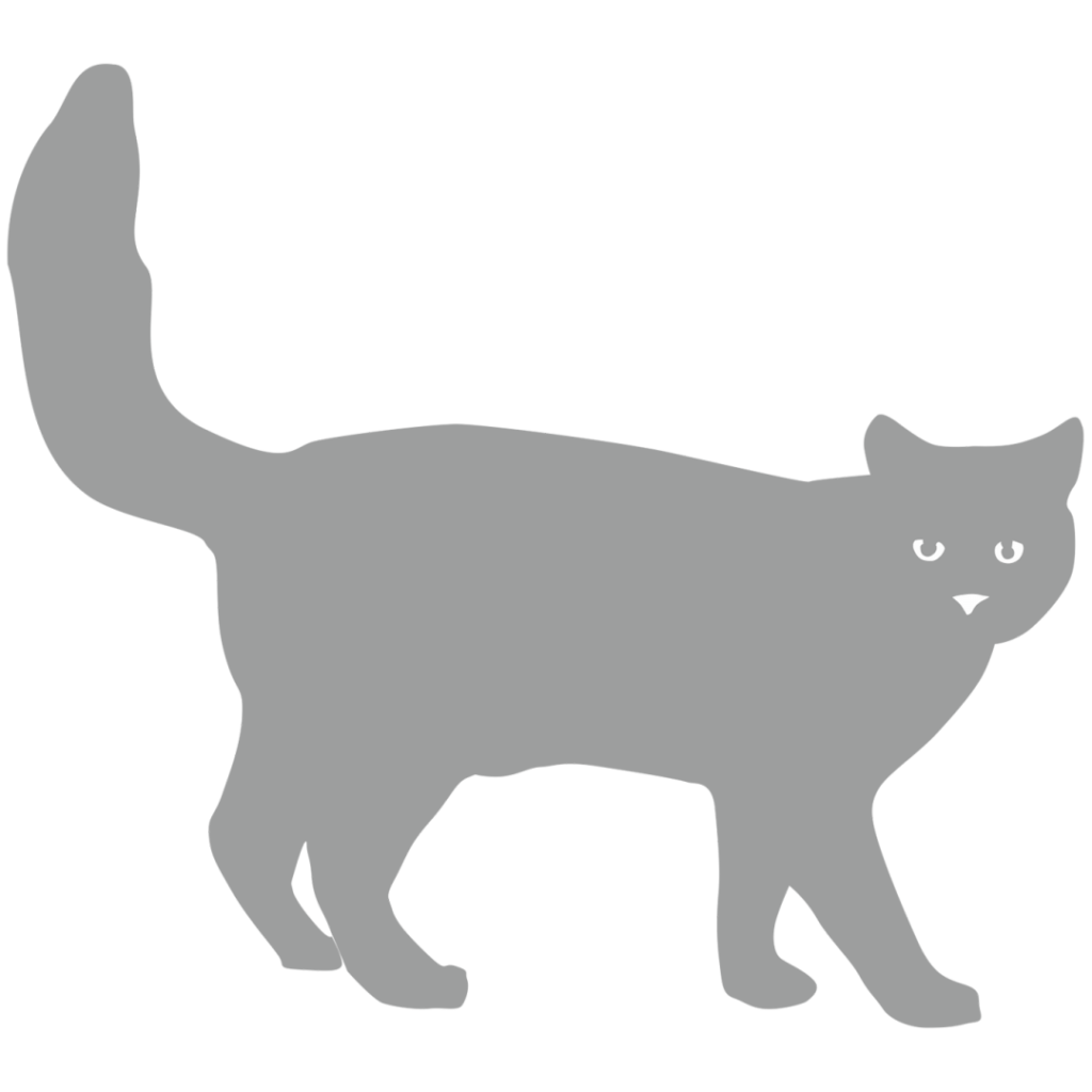 Kattentaal begrijpen - hoe je het gedrag van je kat interpreteert | Cat ...