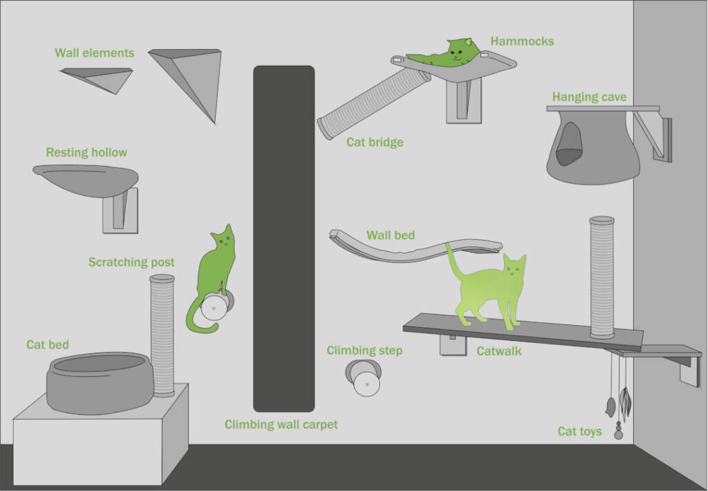 Alles over kattenmeubels: wat heeft mijn kat nodig? | Cat’s Best